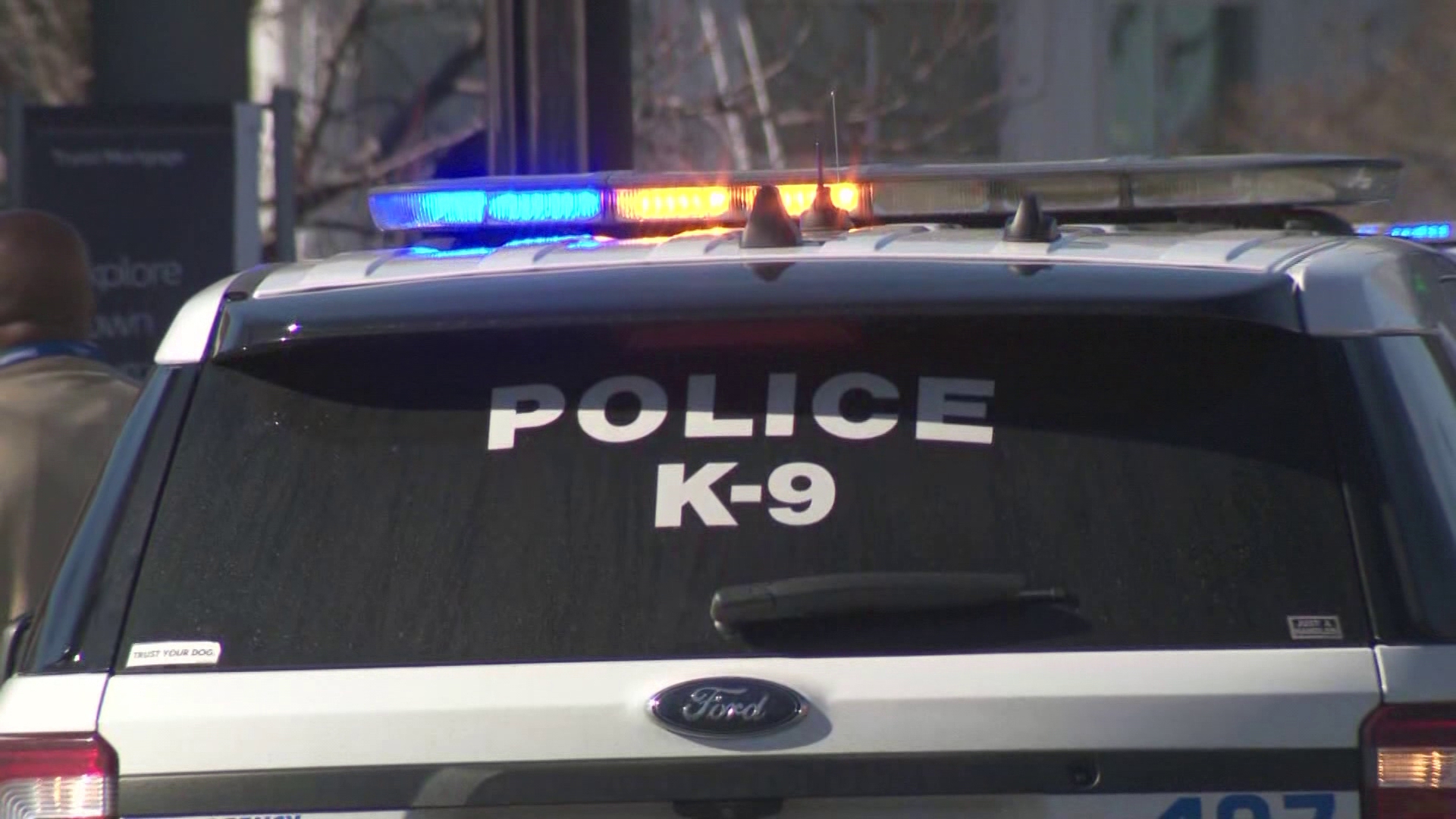 New North Carolina driver's license has 50+ security updates | wcnc.com