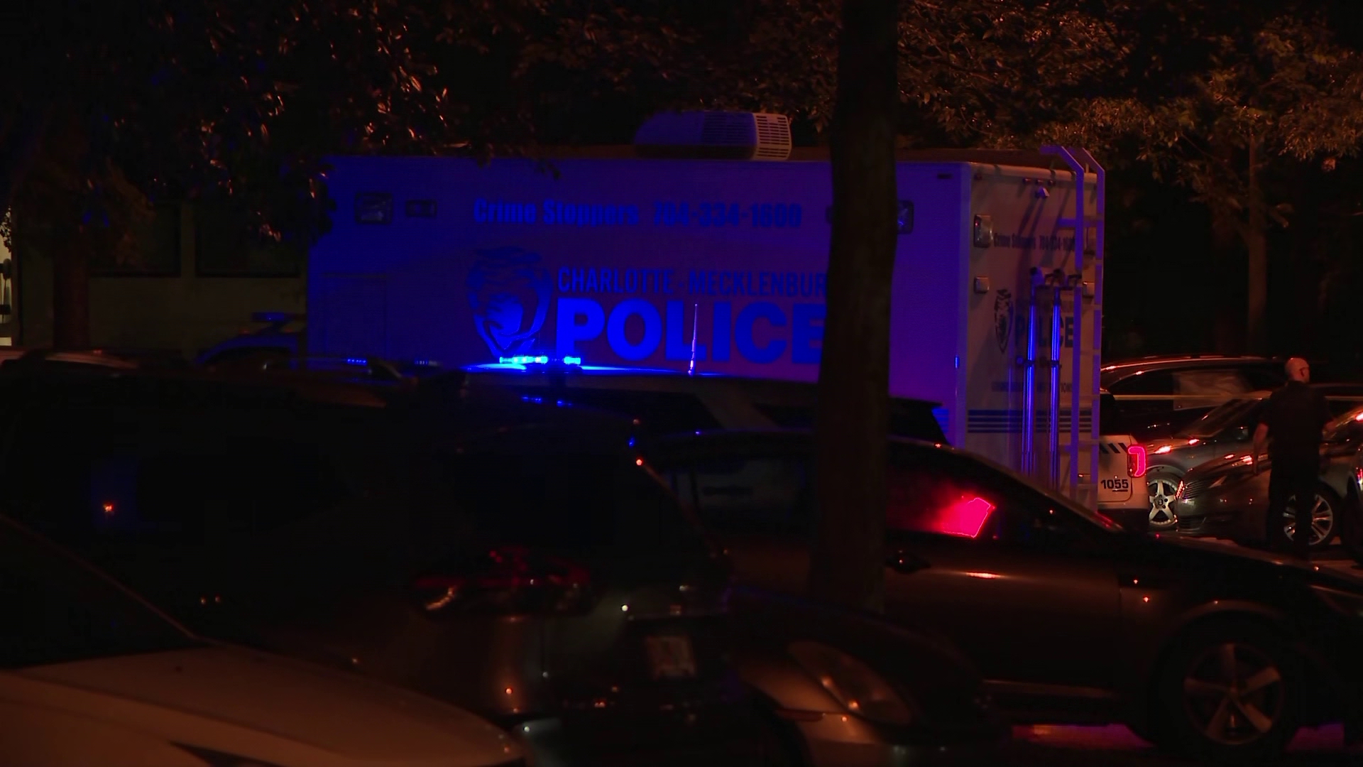 Was the Biltmore Estate hit hard by Helene? | wcnc.com