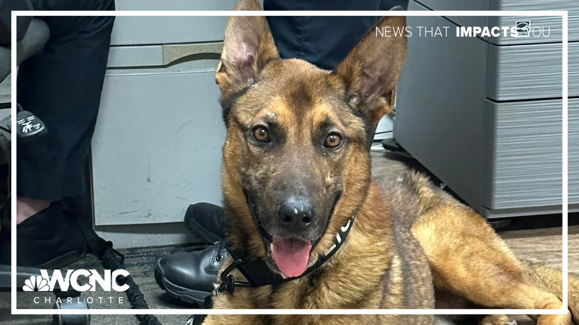 Residents want answers after NC K-9 officer killed during incident | wcnc.com