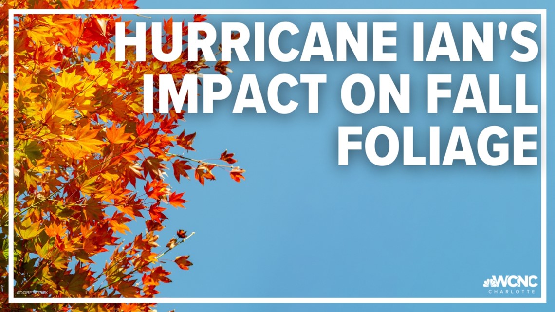Hurricane Ian's impact on fall foliage | wcnc.com