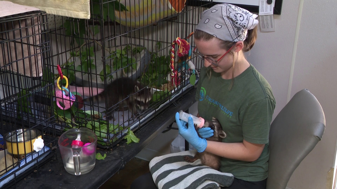 Larry Sprinkle visits Carolina Wildlife Conservation Center | wcnc.com