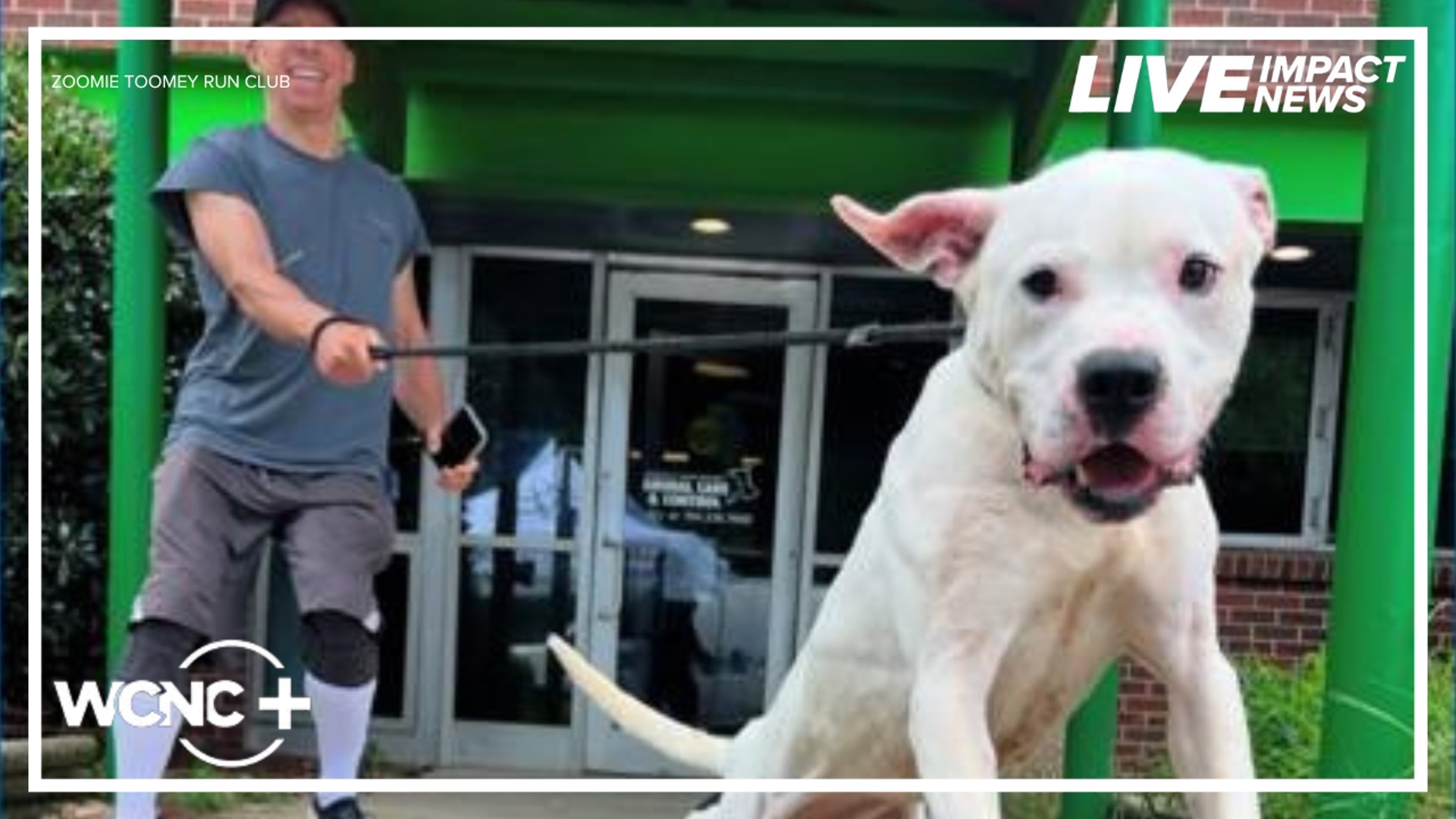 How a Charlotte run club is wagging tails at the animal shelter | wcnc.com