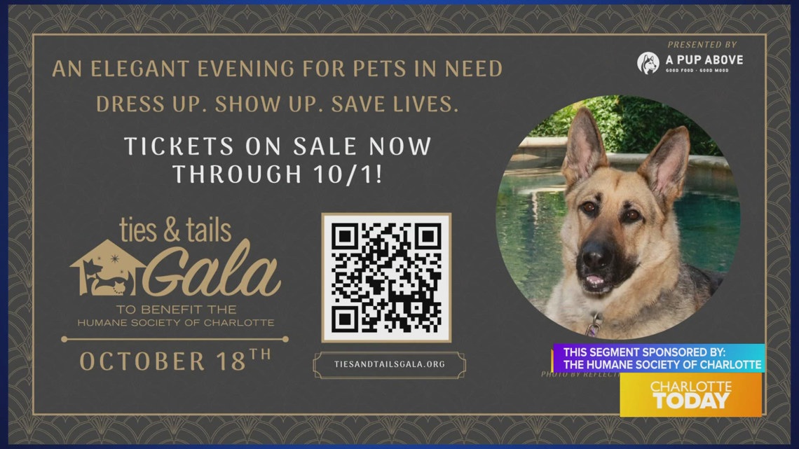 Charlotte animal lovers get ready for the Ties & Tails Gala – sponsored ...