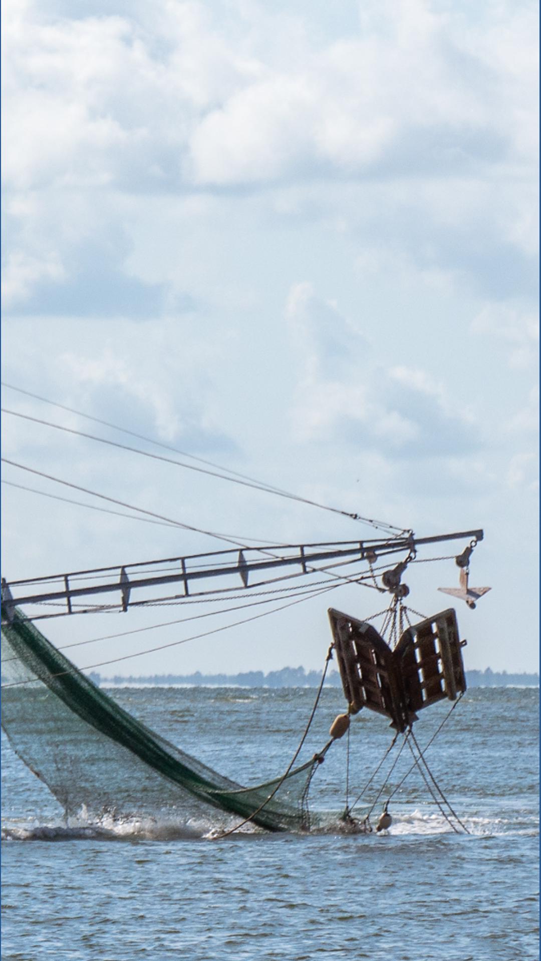 North Carolina House kills shrimp trawling ban | wcnc.com