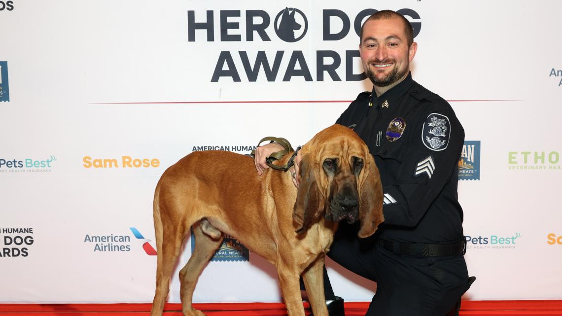 Gastonia's hero bloodhound Bo shines bright at the 14th Hero Dog Awards ...