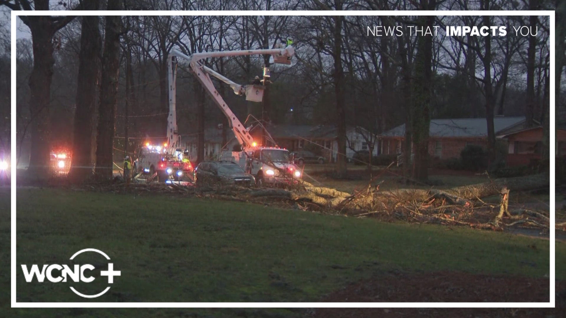 Tree falls on power lines in south Charlotte neighborhood | wcnc.com