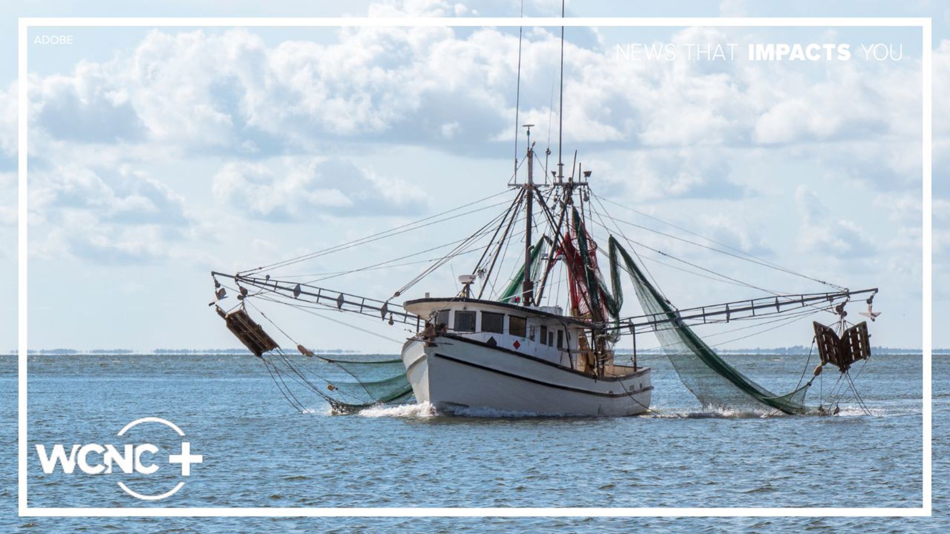 NC fisherman discusses impacts of bill seeking to ban shrimp trawling | wcnc.com