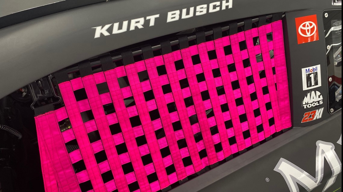 Window of Hope: Pink window nets return to Charlotte roval | wcnc.com