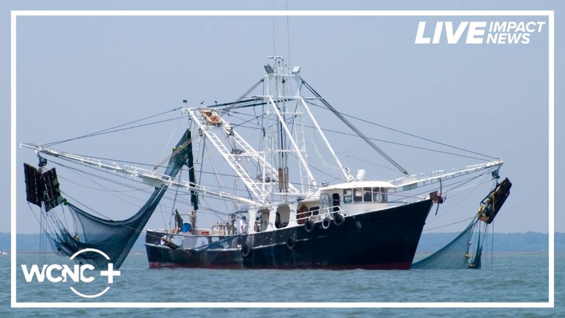 NC bill that would've banned shrimp trawling killed | wcnc.com