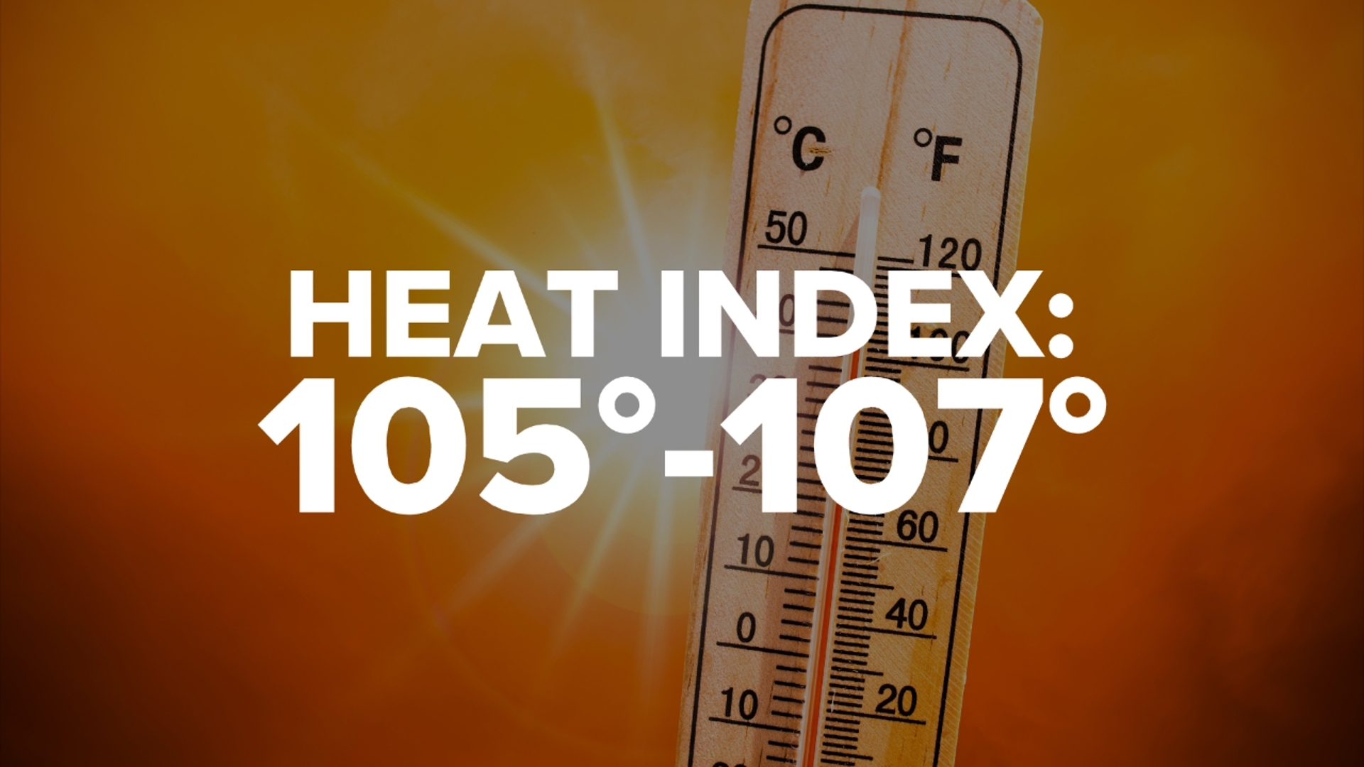 Are there more armadillos in NC? | wcnc.com