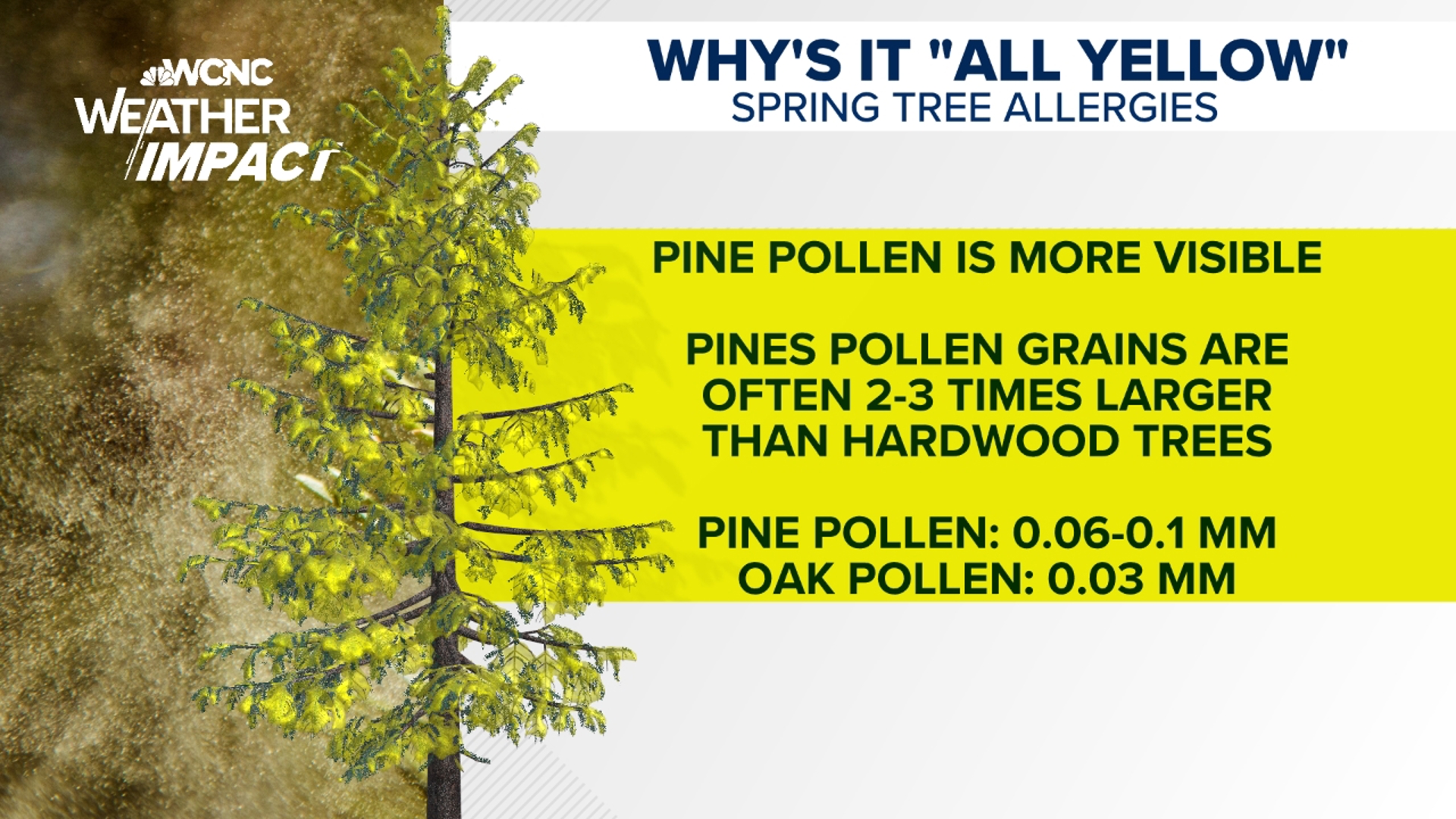 North Carolina's yellow pollen is starting to fade, but when is it over ...