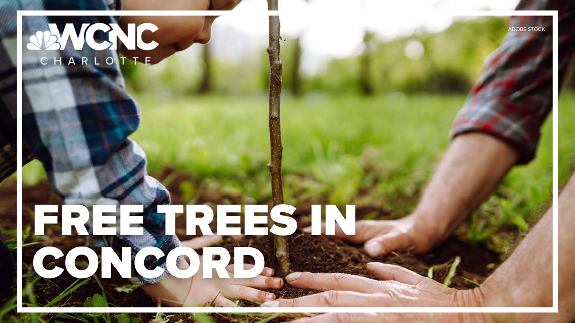 Free tree giveaway in Concord | wcnc.com