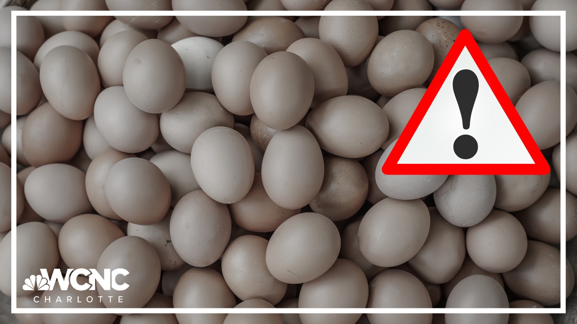 Egg recall active over salmonella contamination risk | wcnc.com