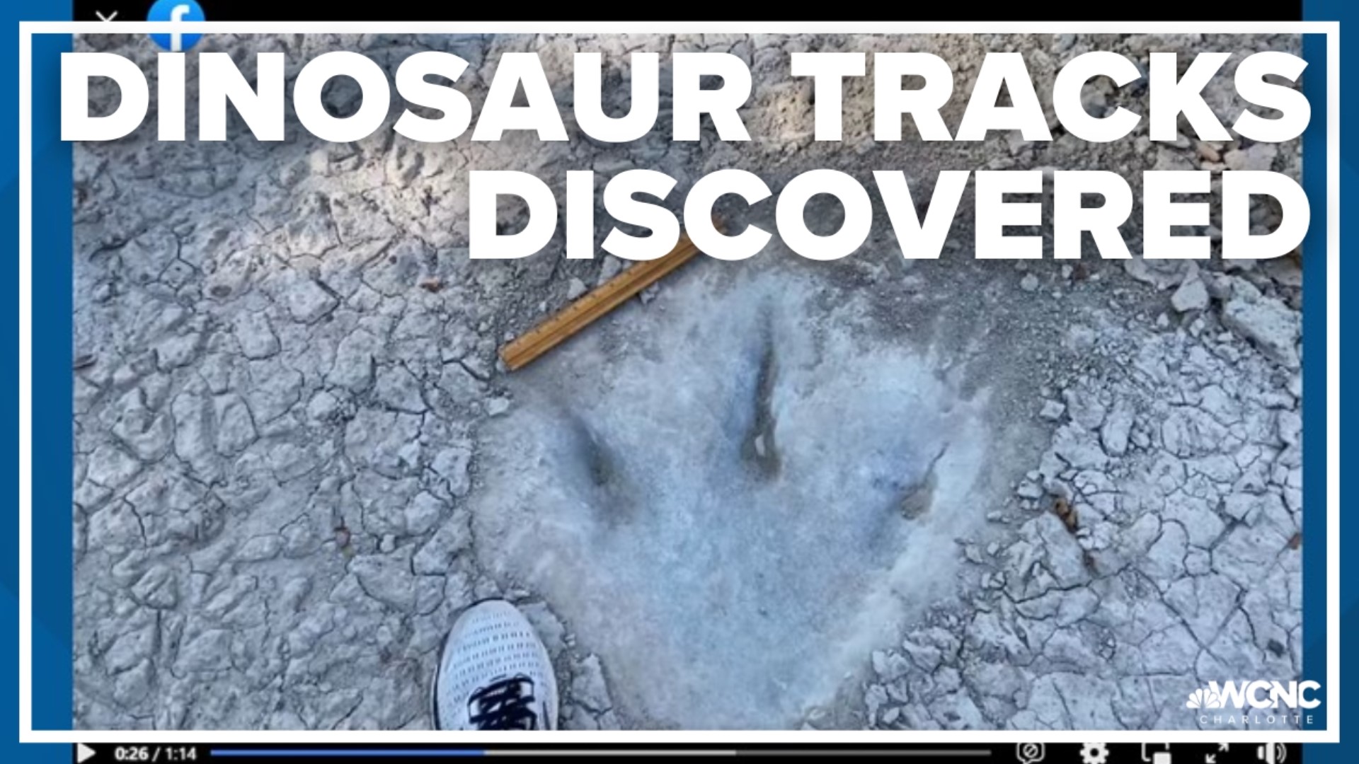 Dinosaur Valley State Park reveals large dinosaur tracks in river ...