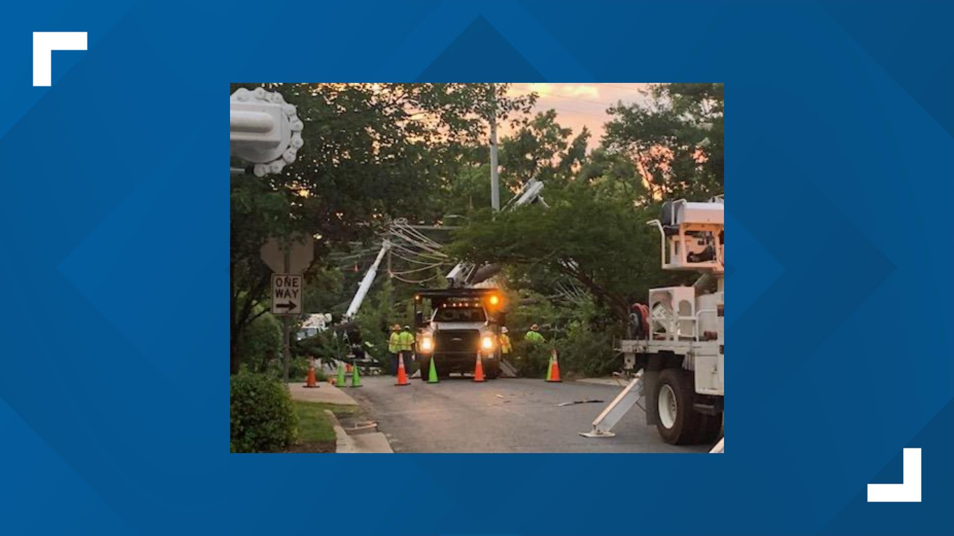 Huge tree in Dilworth takes down power poles, causes outage | wcnc.com