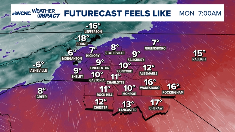 Are there more armadillos in NC? | wcnc.com