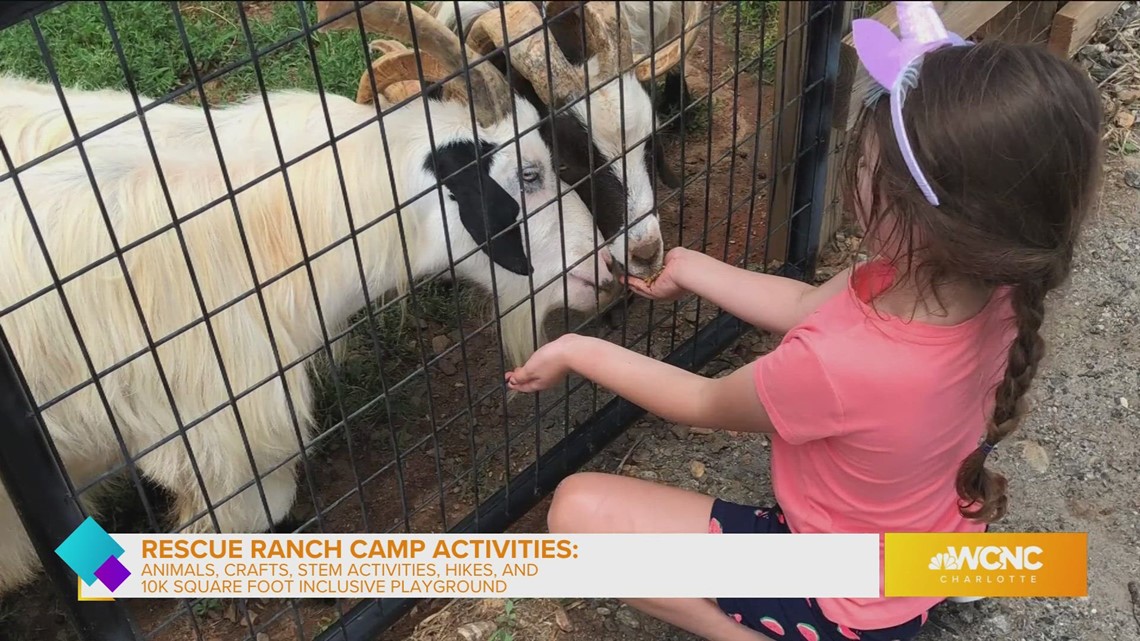 Rescue Ranch’s Critter Camp registration is now open, for spring break ...