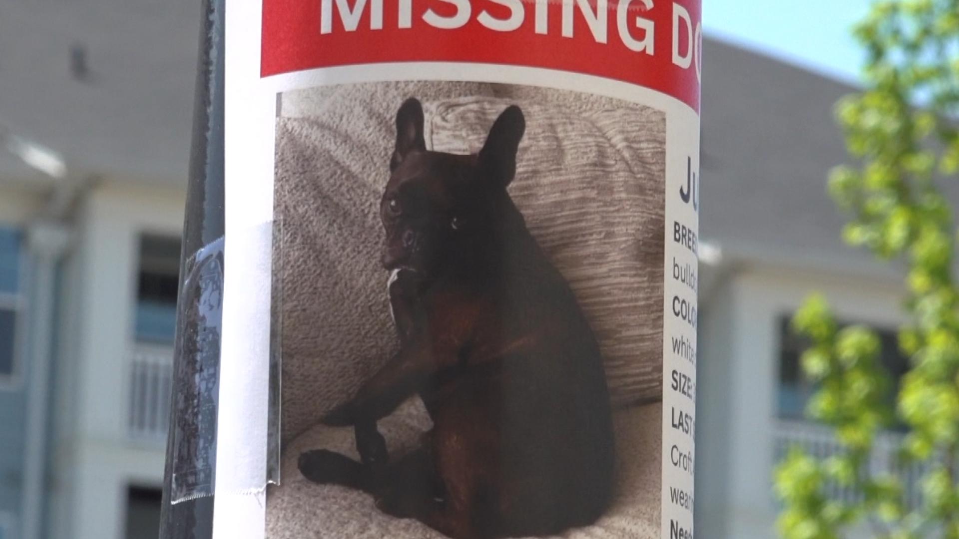 April Fools' Day prank: Marshmallow crops in North Carolina | wcnc.com