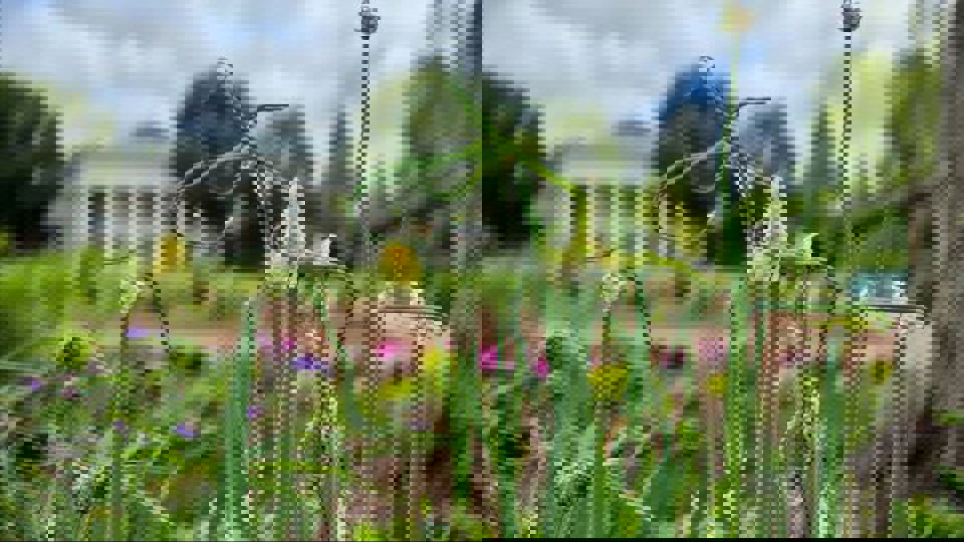 Daniel Stowe Garden Becomes Daniel Stowe Conservancy | wcnc.com