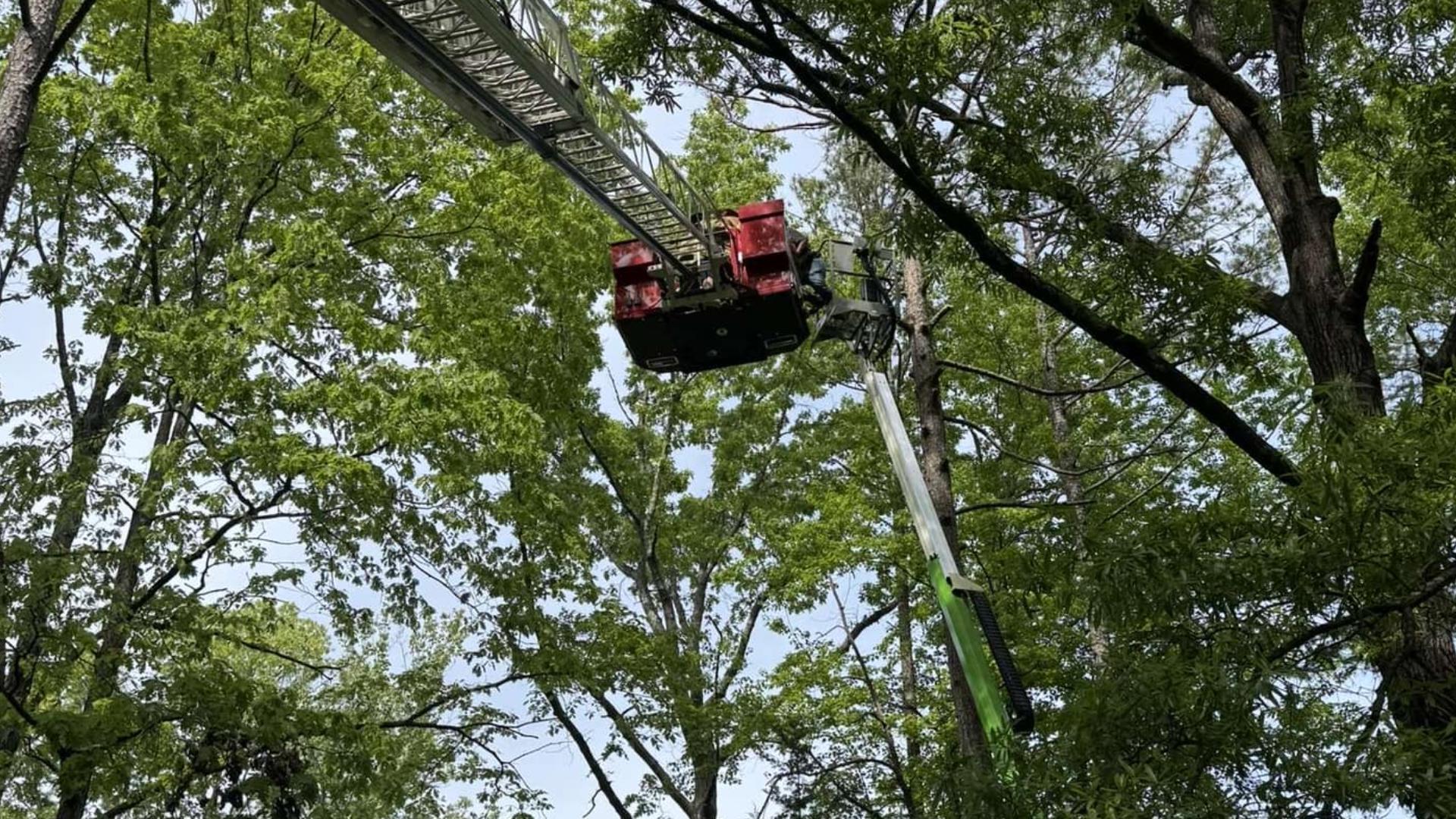 Wesley Chapel, NC high-angle rescue from stuck lift machine | wcnc.com