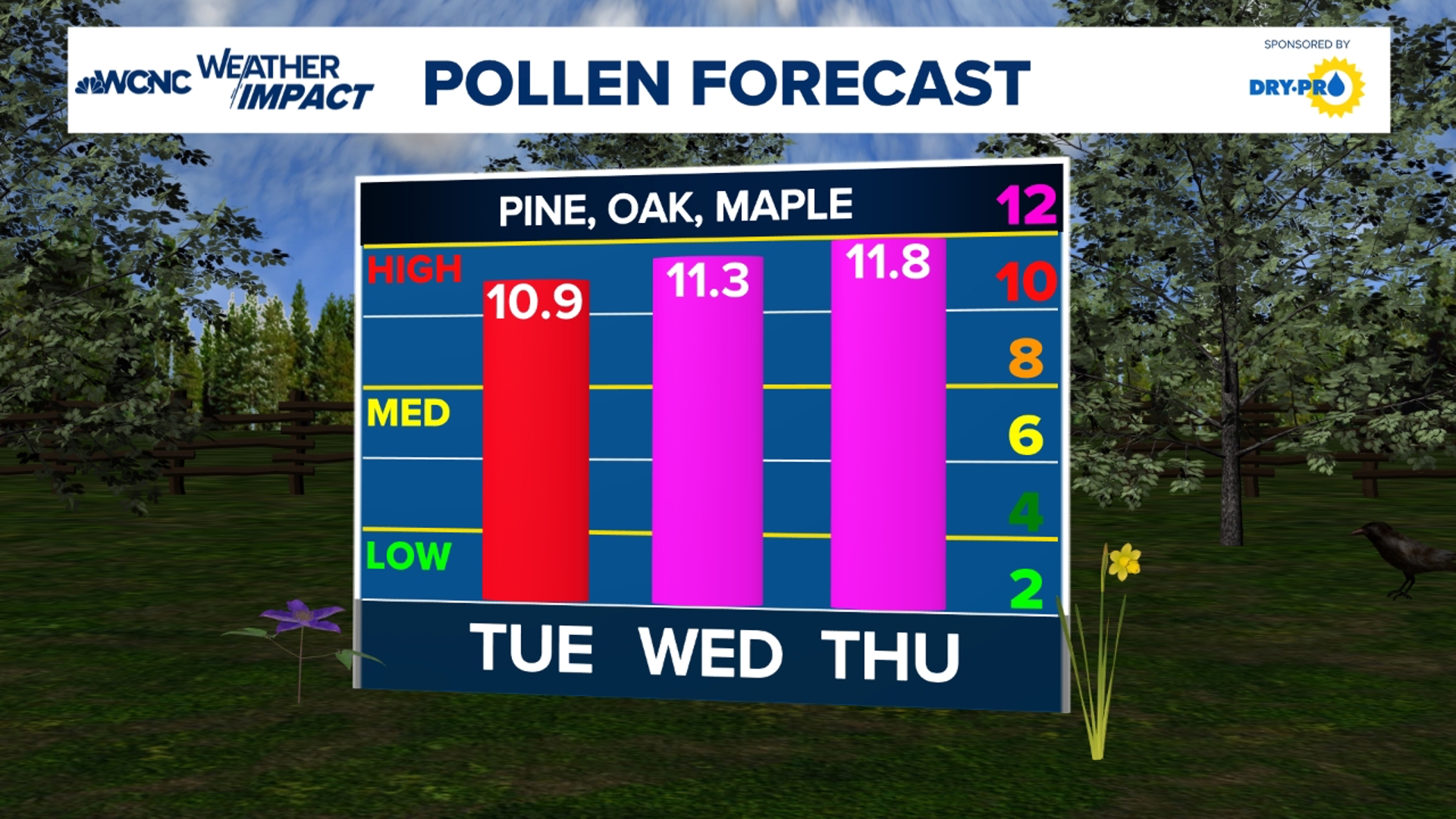 Contact WCNC in Charlotte, North Carolina | wcnc.com