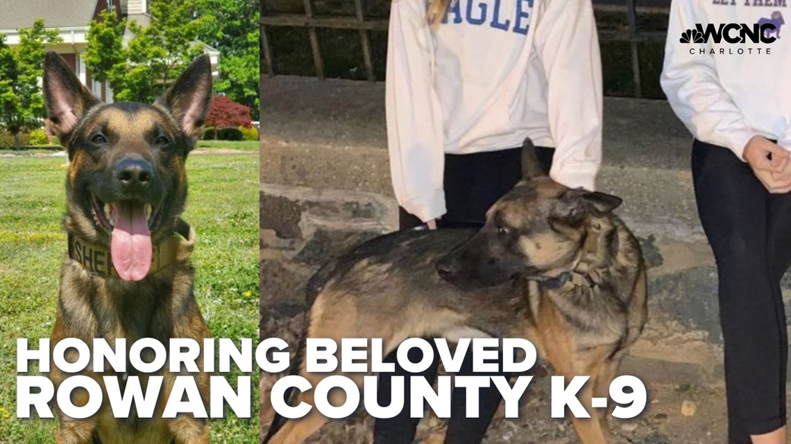 Rowan County Sheriff's Office says K-9 died of heat exhaustion | wcnc.com