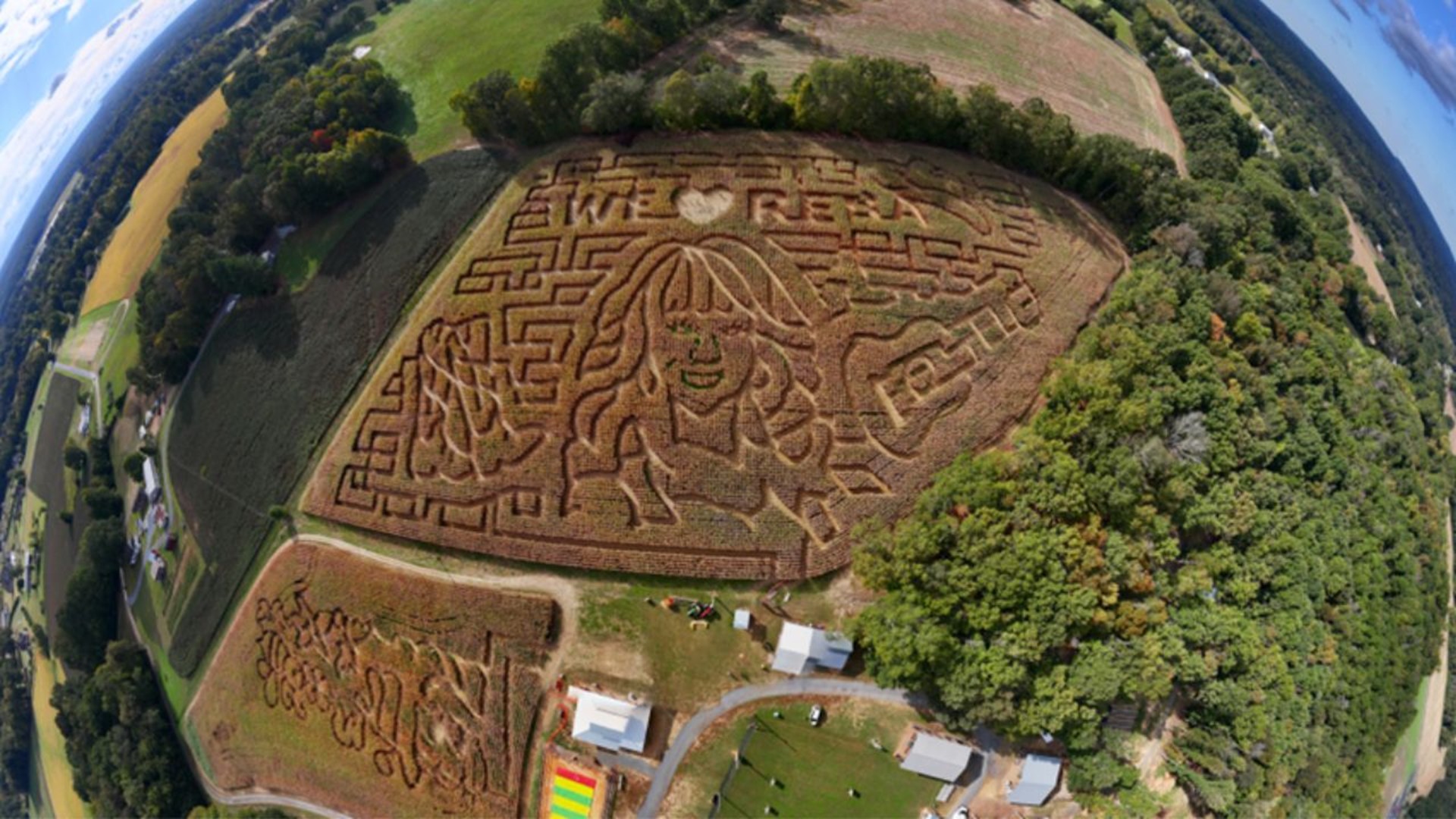 North Carolina farm opens epic Reba-themed corn maze | wcnc.com