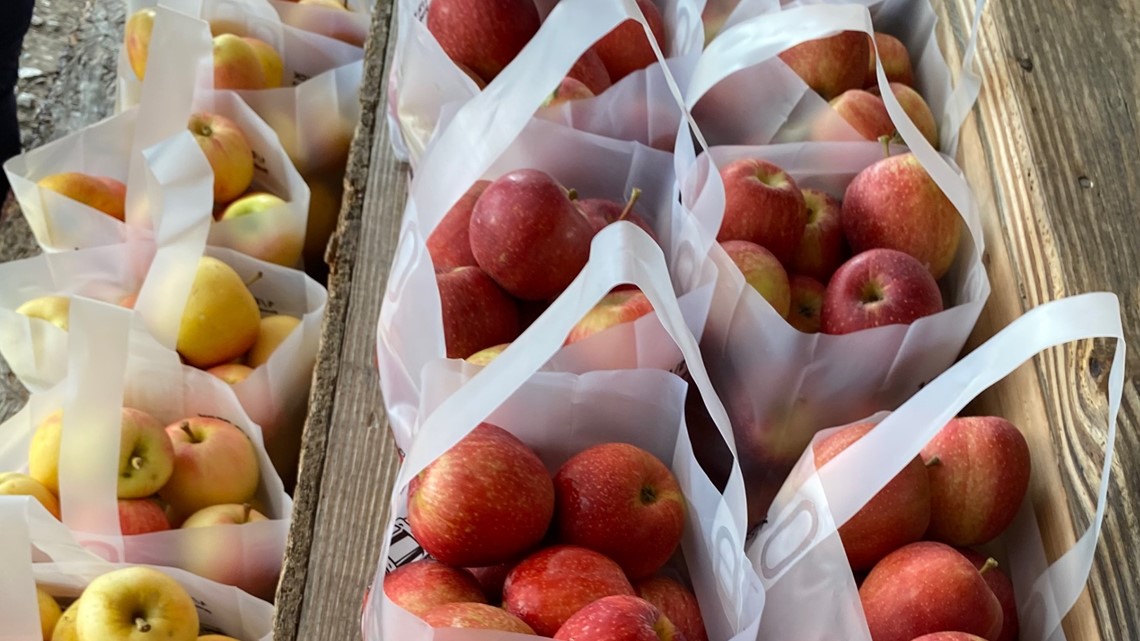 Windy Hill Orchard & Cider Mill: A hidden gem for fall family fun ...