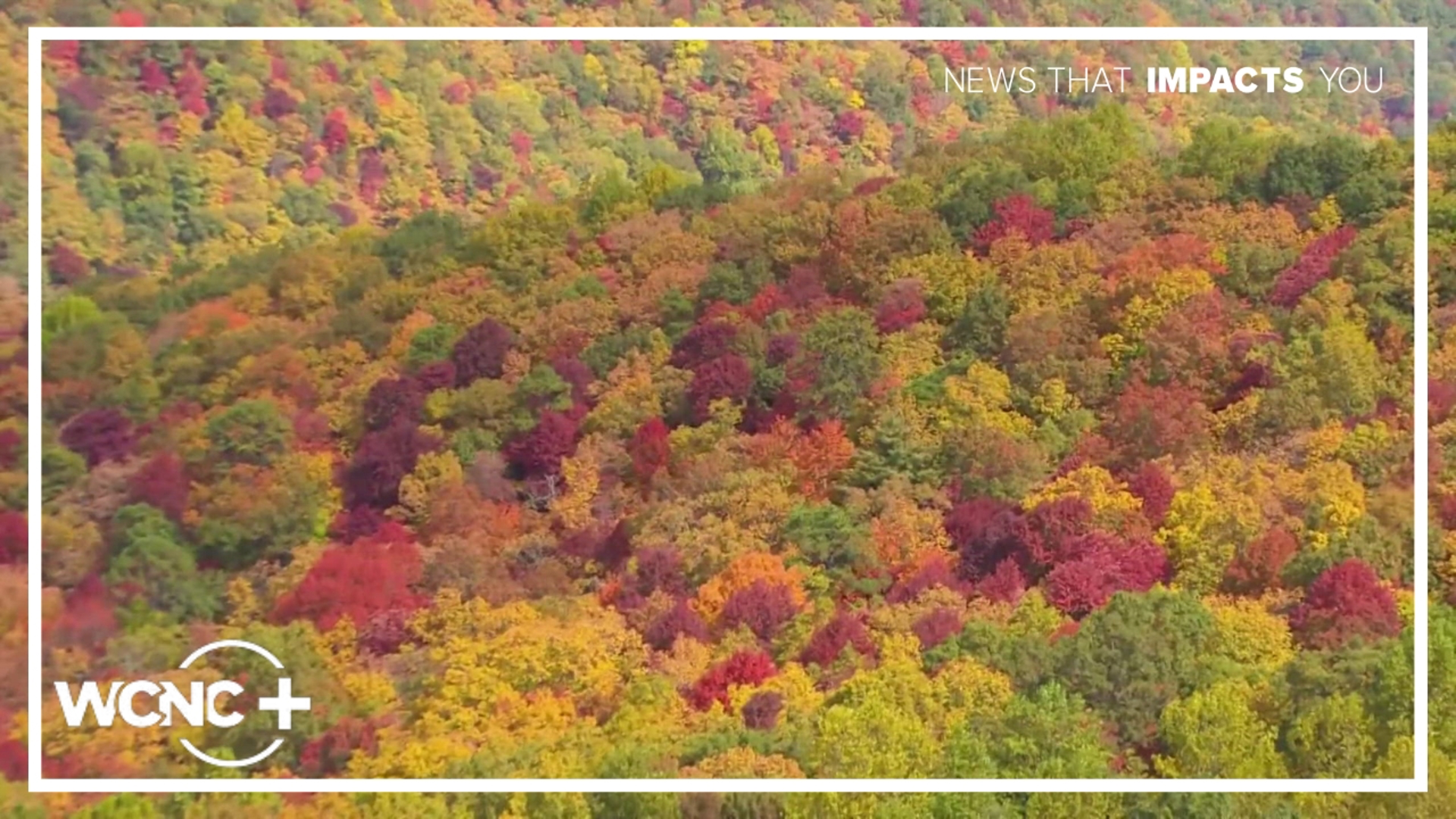 Here's when we could see fall foliage in North Carolina | wcnc.com