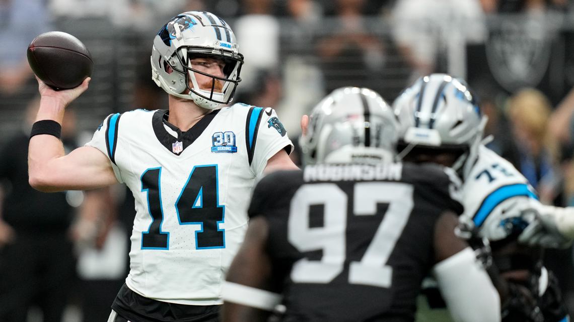 Andy Dalton Panthers 2-year deal | wcnc.com