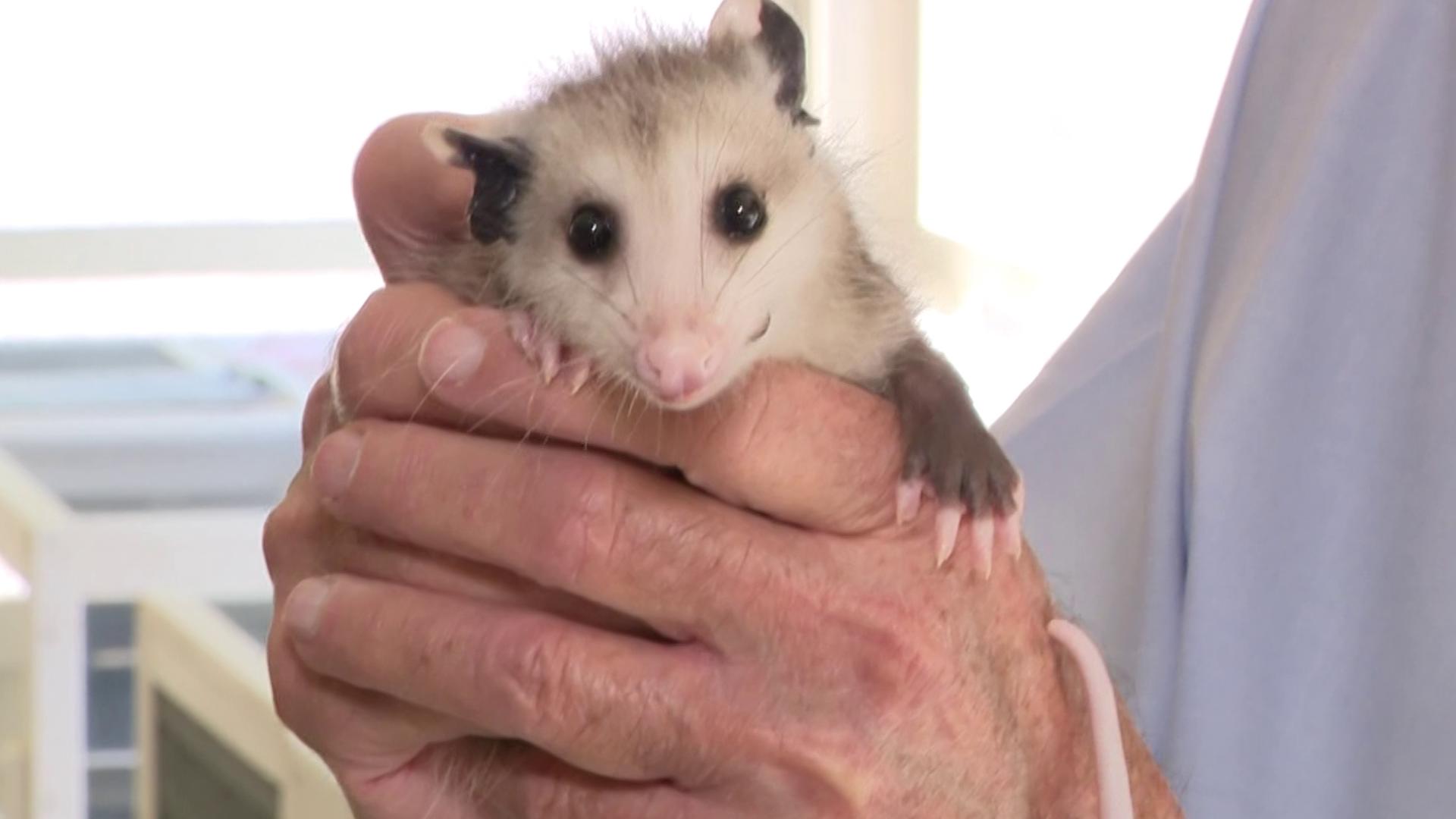 Larry Sprinkle visits Carolina Wildlife Conservation Center | wcnc.com