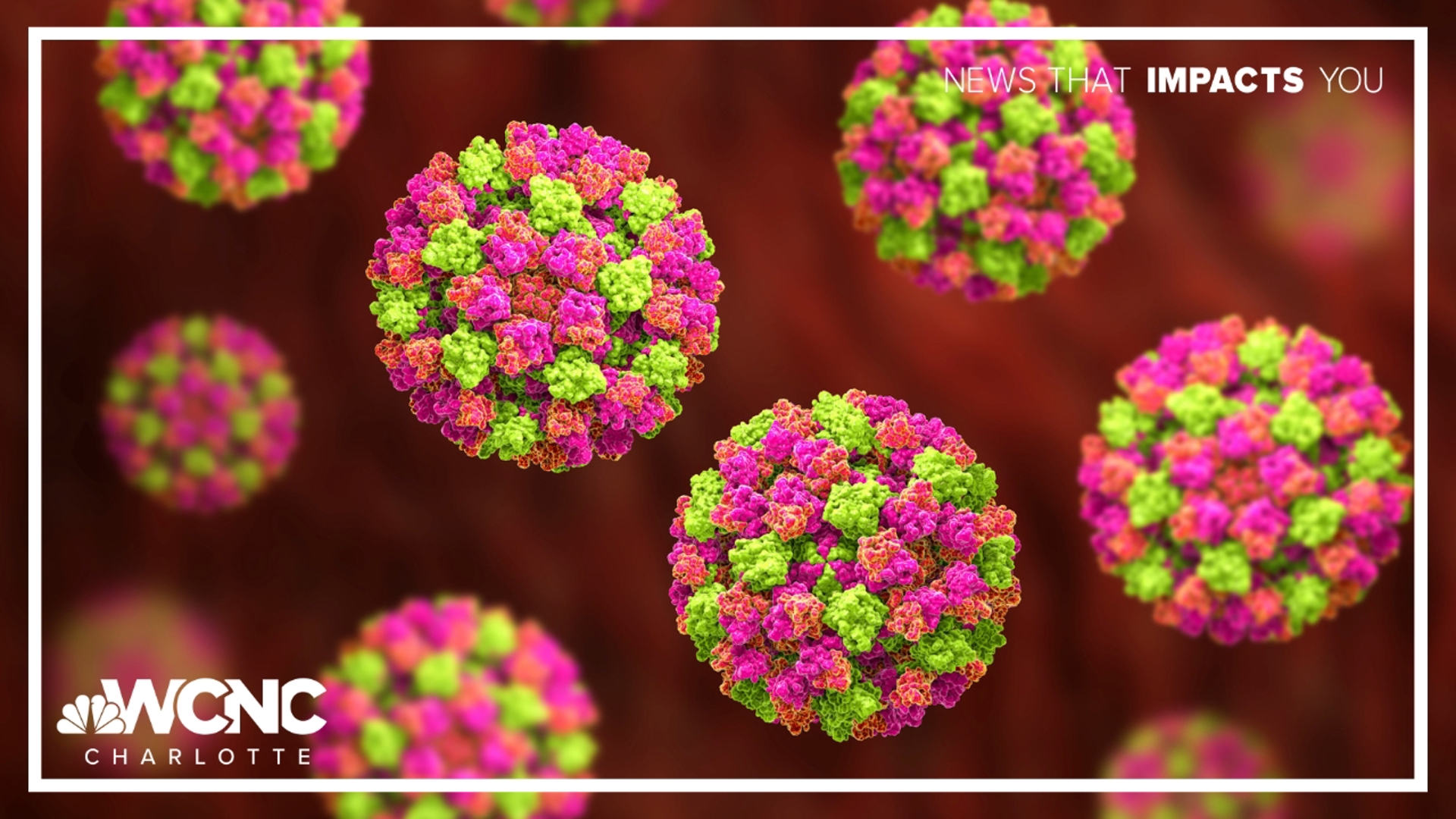 Royal Caribbean cruise reports norovirus outbreak affecting nearly 100 ...