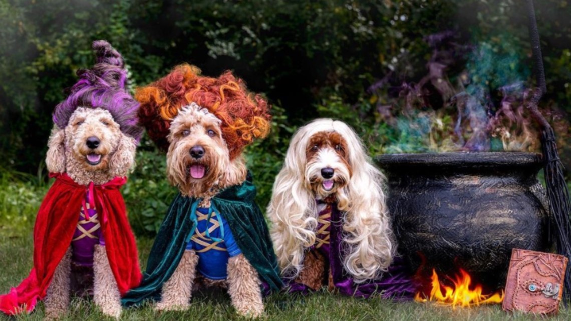 Charlotte mom's doodle Instagram page goes viral | wcnc.com
