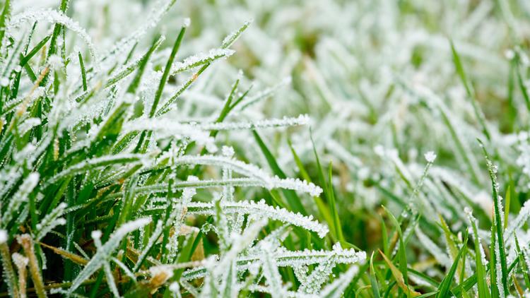 Frost: Understanding the different icy formations you might encounter ...