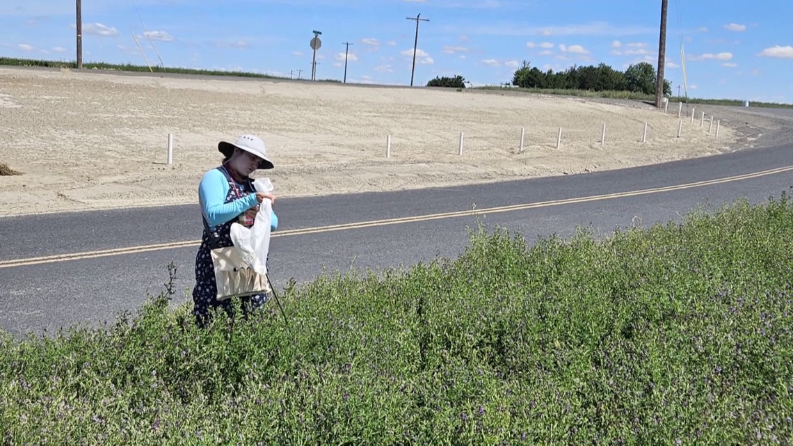 NC State grad loses USDA job amid federal cuts | wcnc.com