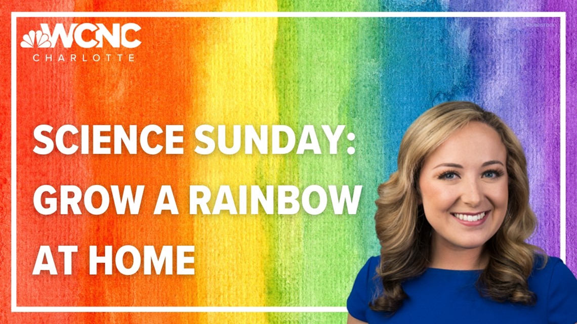 Classroom Central hosts first-ever drive-through shop | wcnc.com