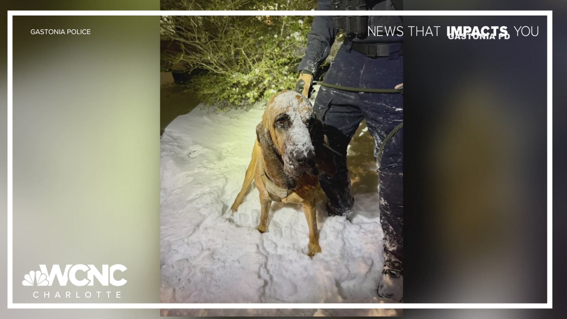 Gastonia teen with special needs found safe after snowstorm search ...