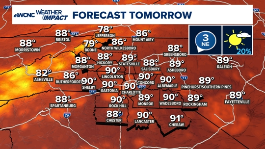 Union County criticized over deputy hire amid K-9 video uproar | wcnc.com