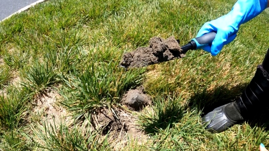 Buried | Coal ash contamination at day care sparks concerns about kids ...