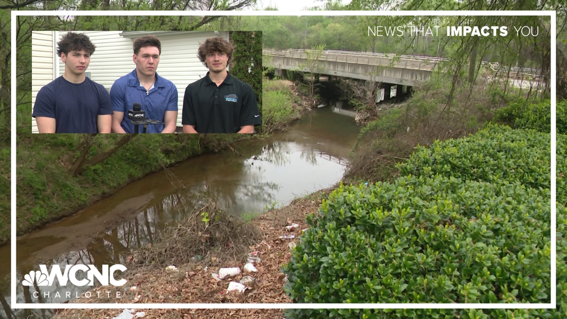 Strangers rescue couple after car drives off cliff into creek at Cook ...