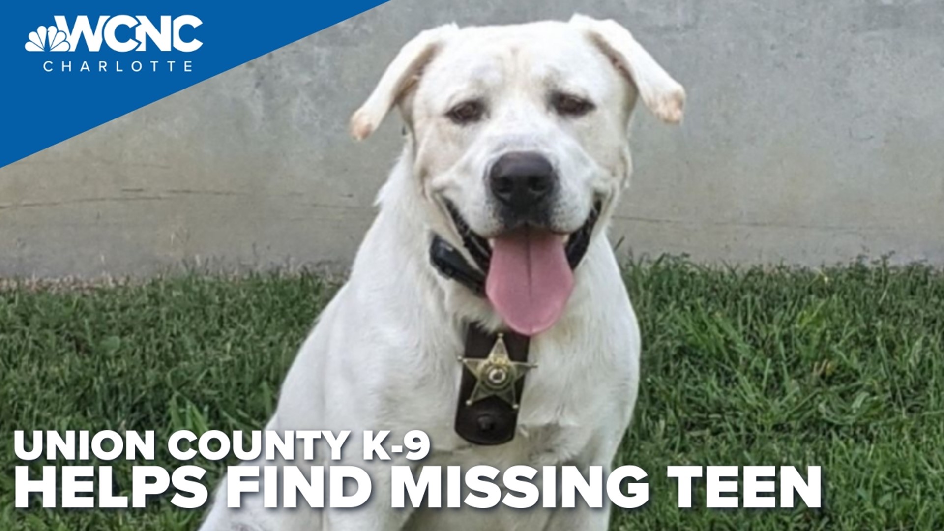 Rare gemstone hiddenite can only be found in North Carolina | wcnc.com