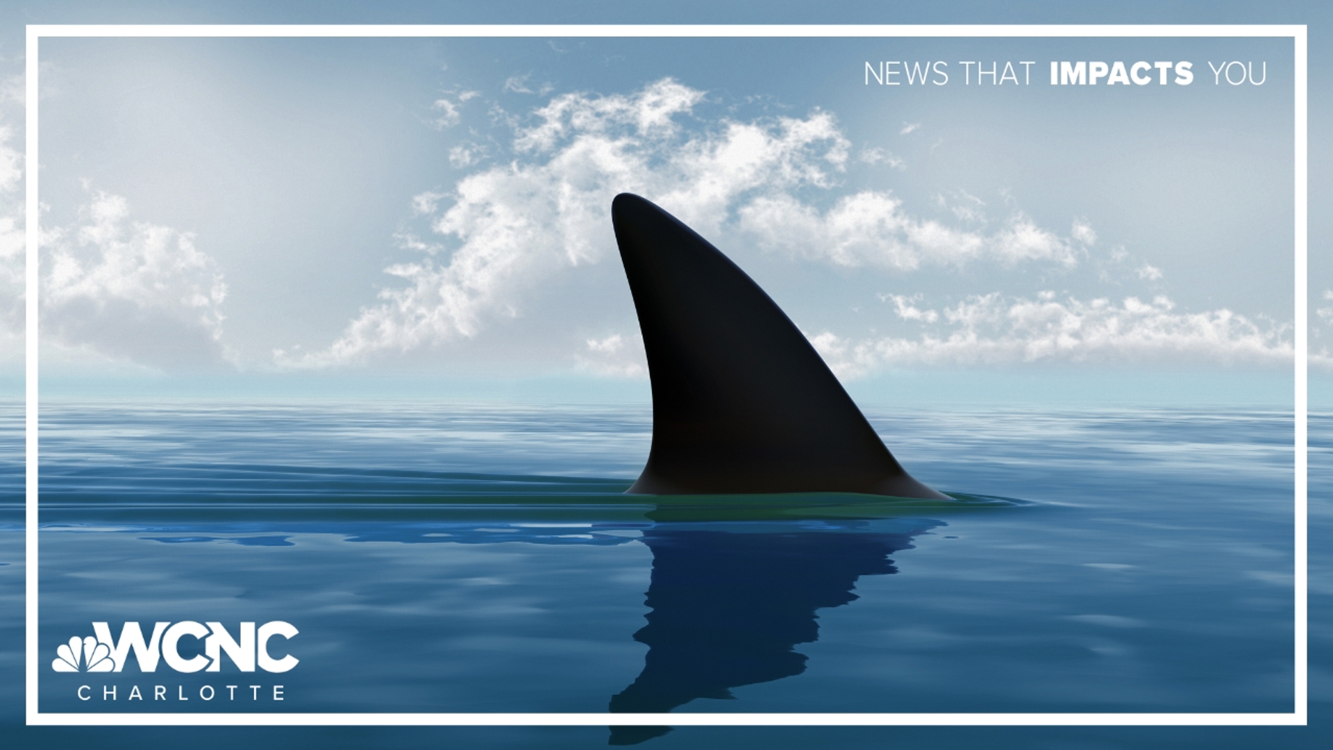 Possible shark bite injuries NC swimmer | wcnc.com