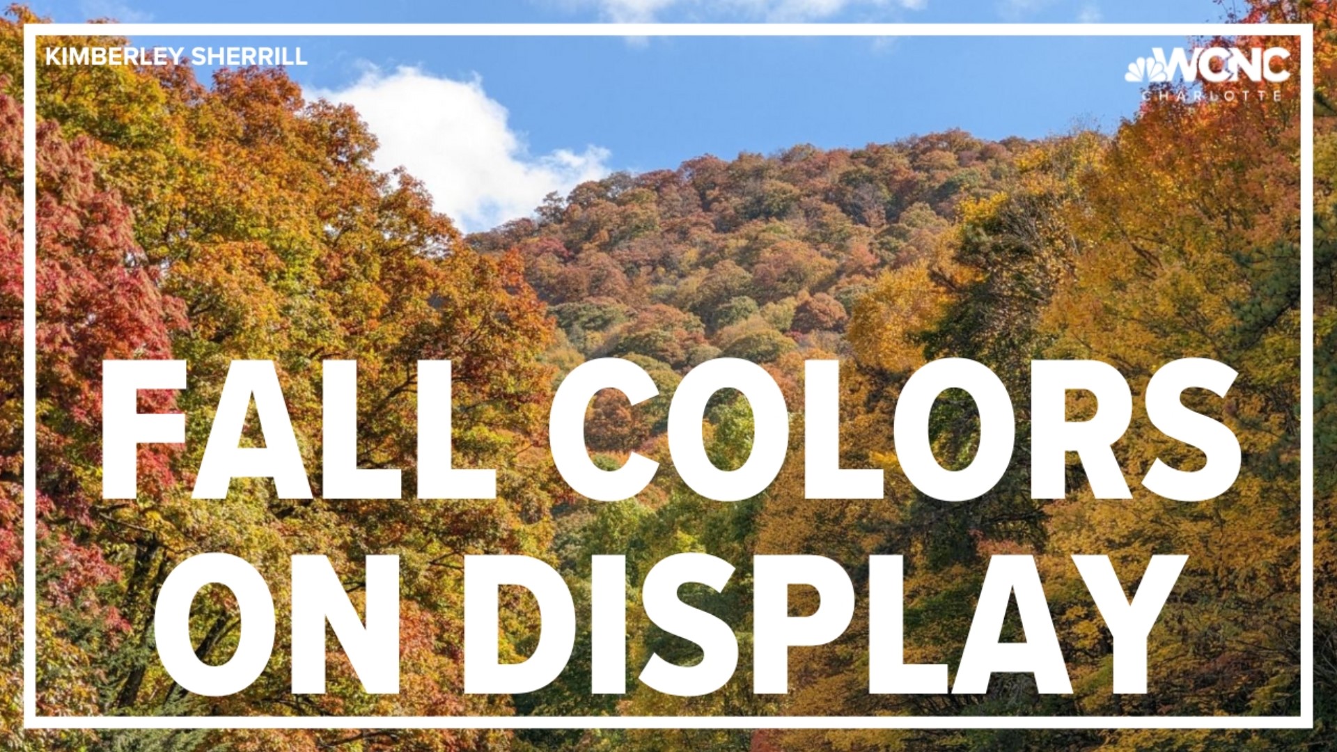 Beautiful leaf colors on display in North Carolina | wcnc.com