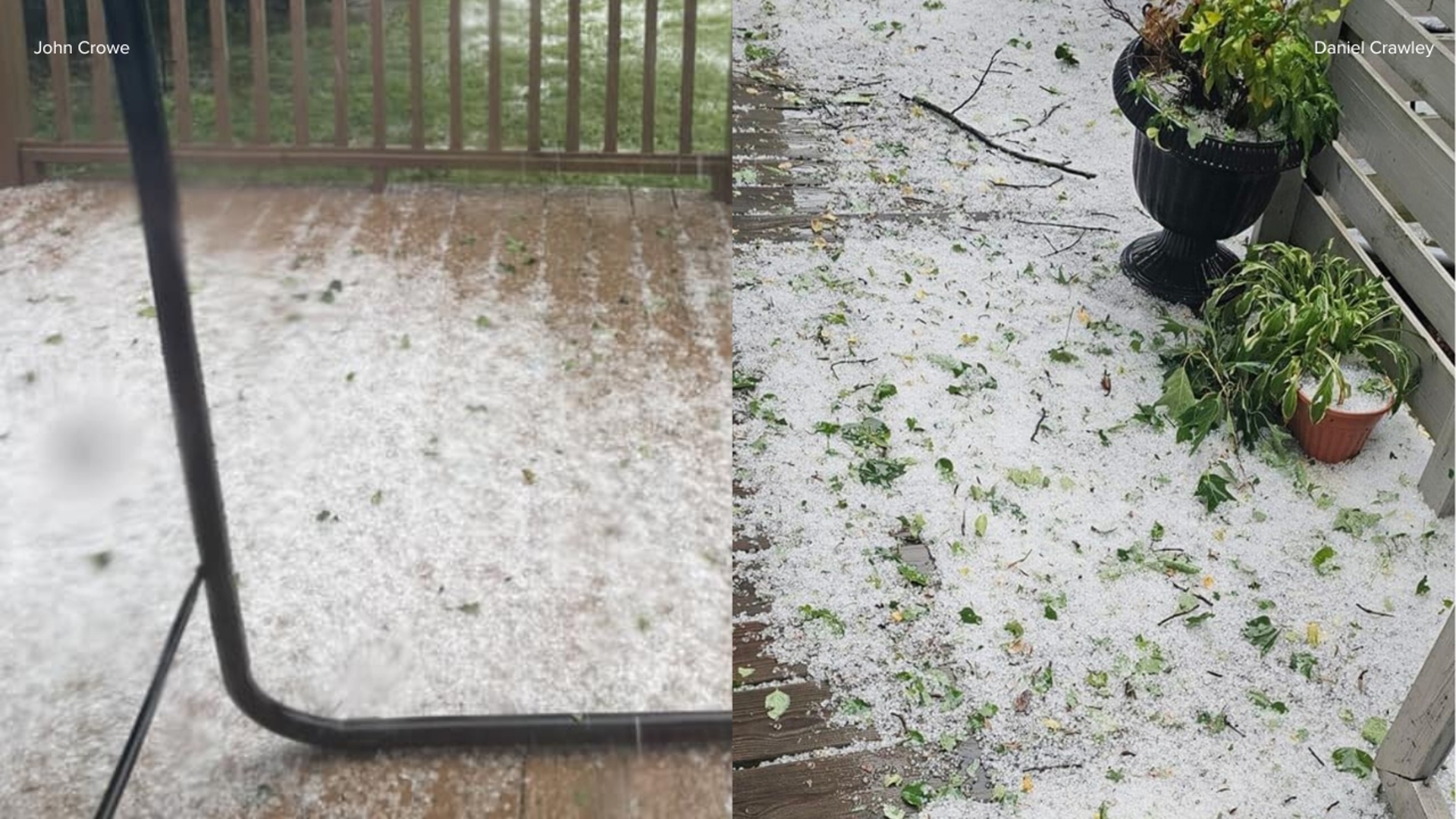 Harold Easter's in-custody death: Sequence of events | wcnc.com