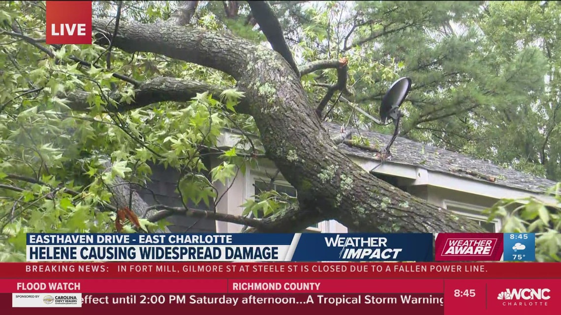 Massive tree falls in east Charlotte during Hele | wcnc.com