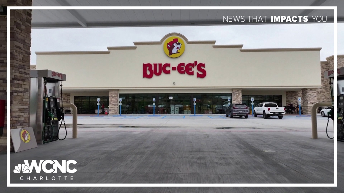 Georgia Buc-ee's gas station lights confuse baby sea turtles | wcnc.com
