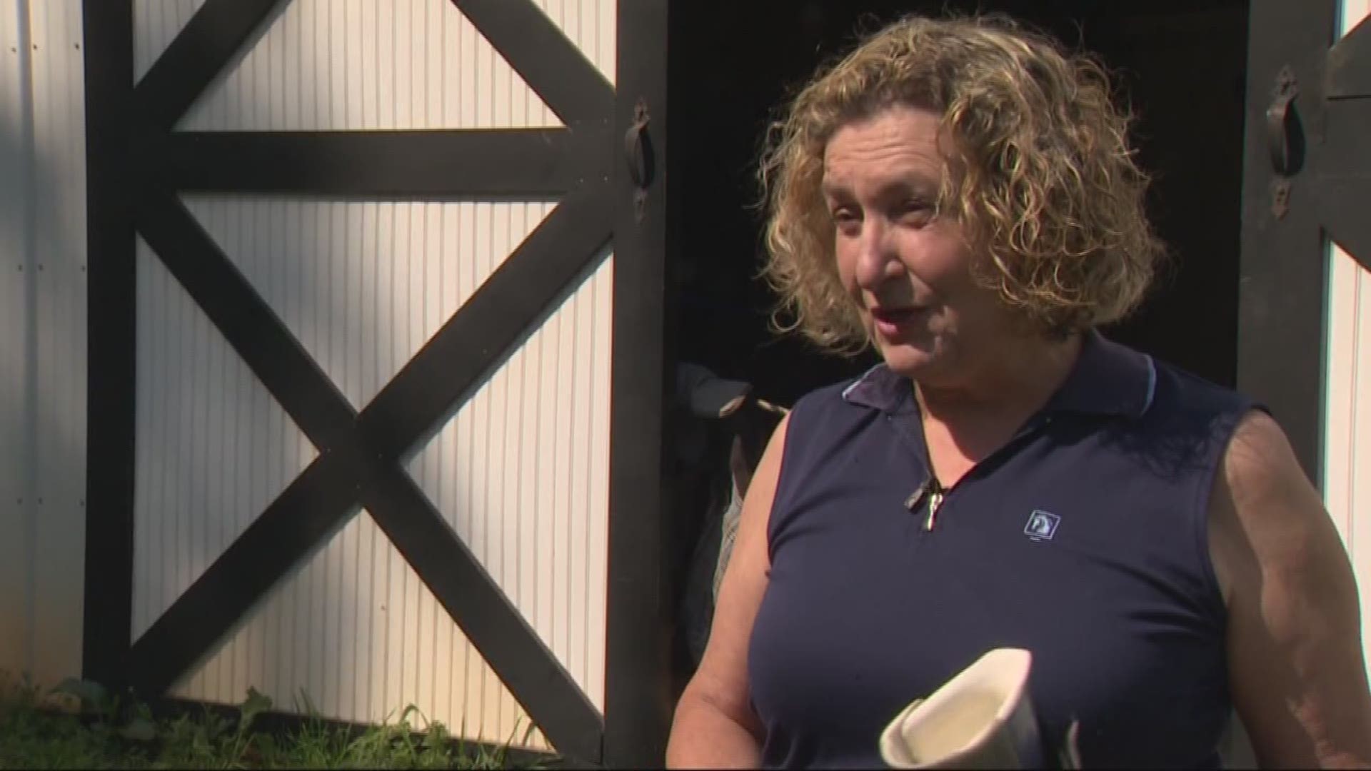 Meet Frosty, one of only 2 goats with a prosthetic leg | wcnc.com