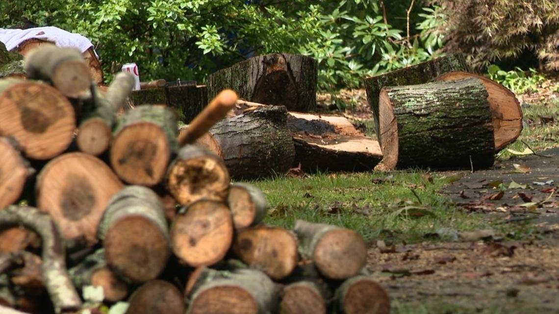 TIPS: How to avoid being scammed by fake contractors | wcnc.com