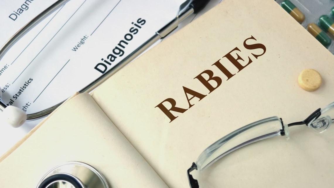 Lincoln County confirms 13th rabies case in 2025 | wcnc.com