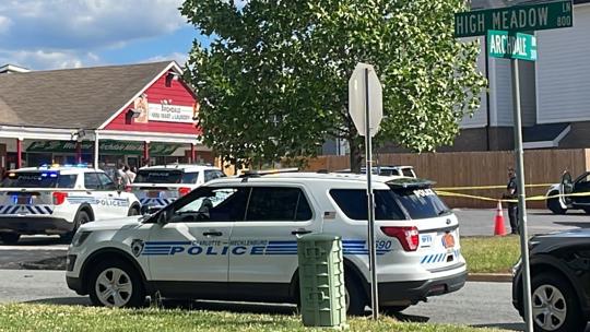 Carowinds renames Intimidator roller coaster as Thunder Striker | wcnc.com